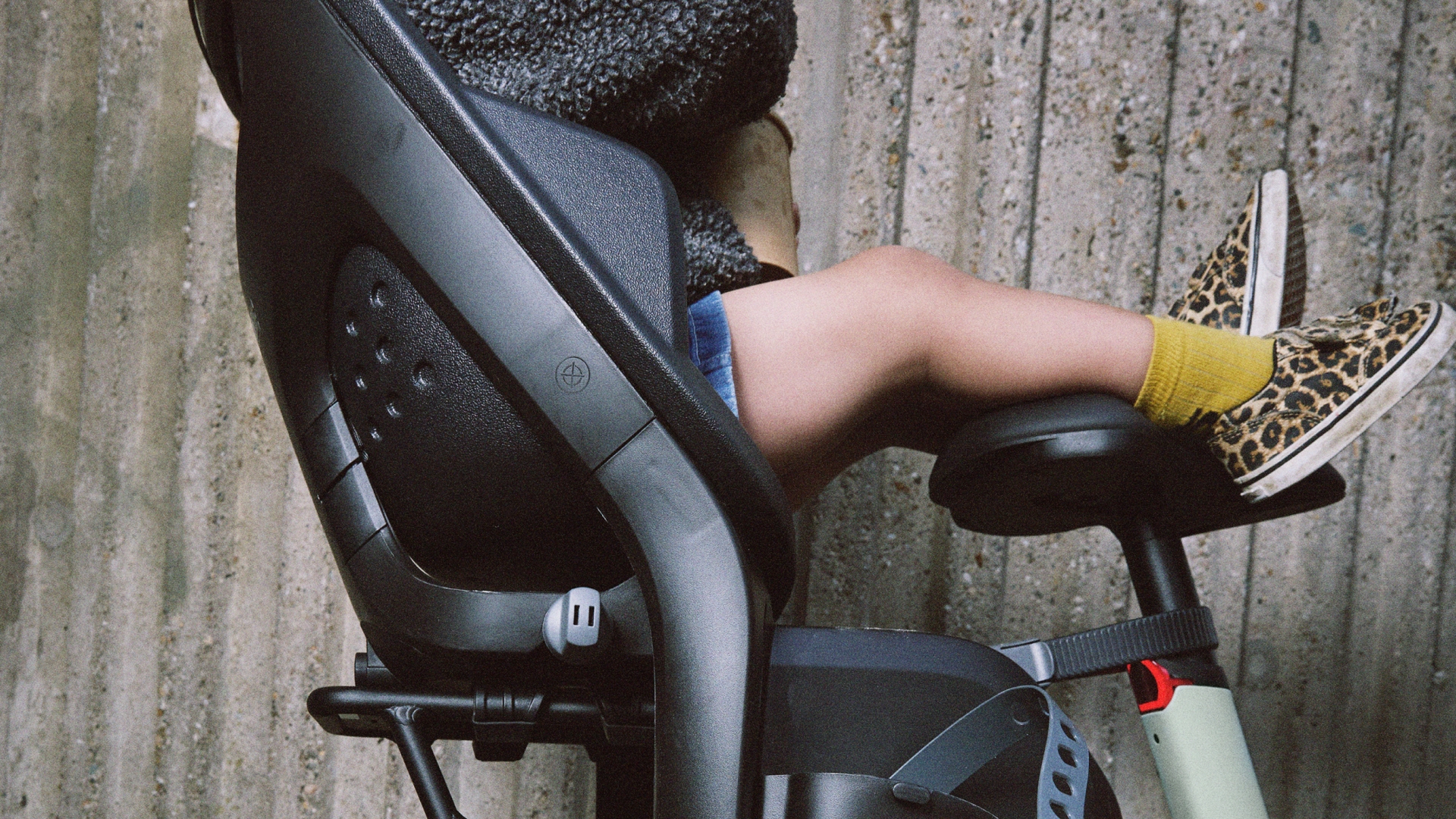 Thule Yepp Next Maxi Kinderzitje | VanMoof